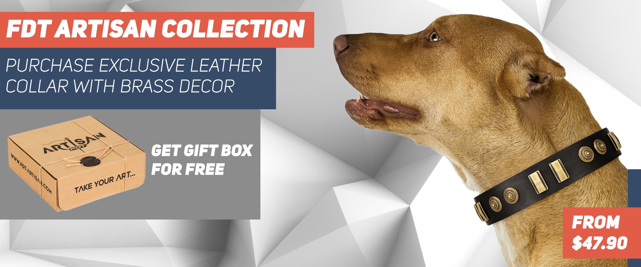 Pitbull Dog Harnesses, Collars, Leashes, Muzzles, Breed Information and ...